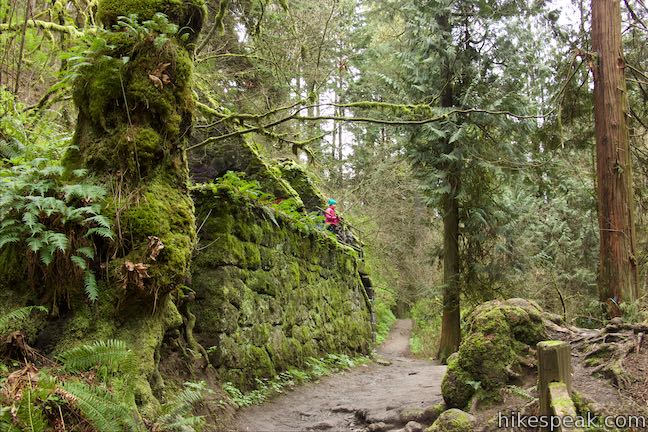 Lower Macleay Trail to Stone House | Forest Park | Hikespeak.com