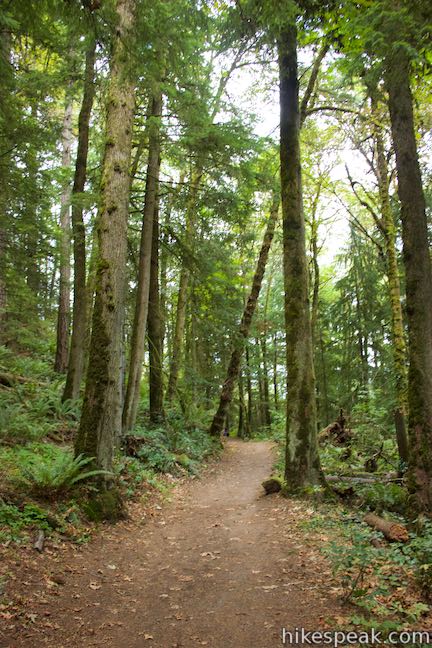 Pittock Mansion Hike | Forest Park | Hikespeak.com
