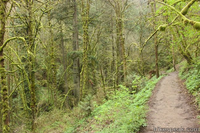 Lower Macleay Trail to Stone House | Forest Park | Hikespeak.com