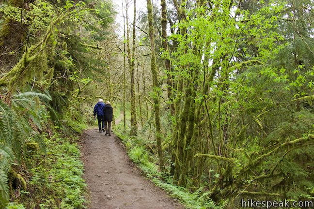 Lower Macleay Trail to Stone House | Forest Park | Hikespeak.com