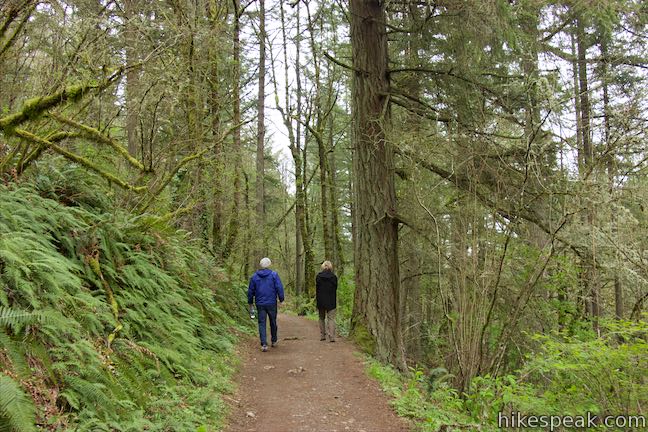 Lower Macleay Trail to Stone House | Forest Park | Hikespeak.com