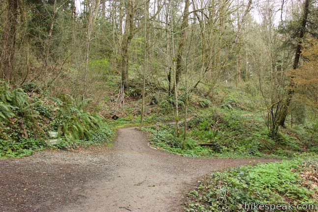 Lower Macleay Trail to Stone House | Forest Park | Hikespeak.com