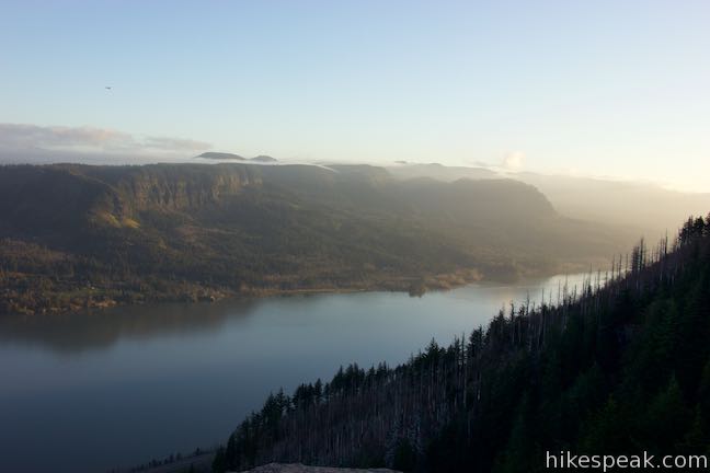 Angel’s Rest in Columbia River Gorge