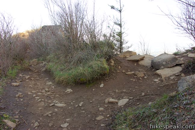 Angel’s Rest in Columbia River Gorge