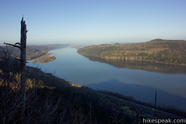 Angel’s Rest in Columbia River Gorge