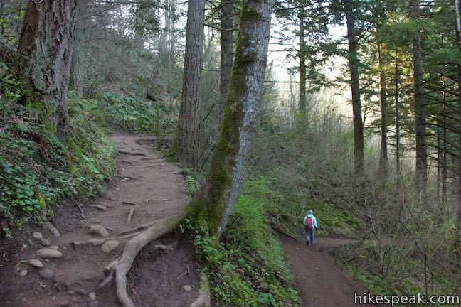 Angel’s Rest in Columbia River Gorge