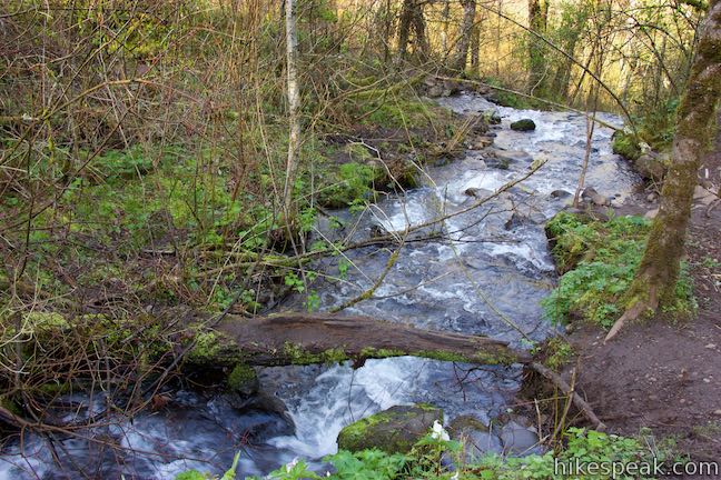 Angel’s Rest in Columbia River Gorge