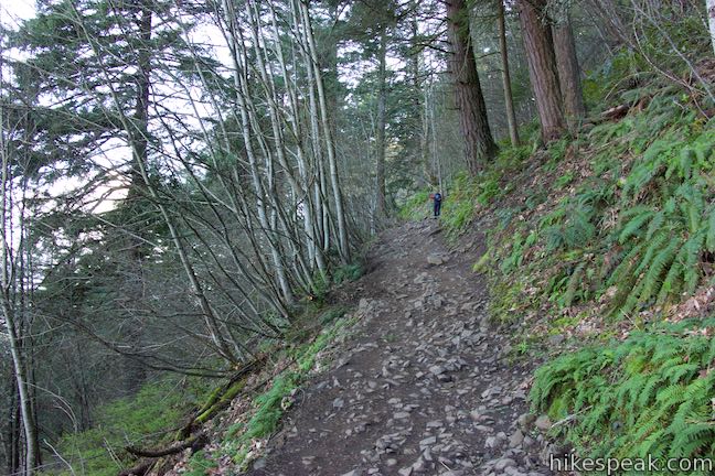 Angel’s Rest in Columbia River Gorge