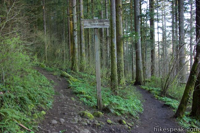Angel’s Rest in Columbia River Gorge