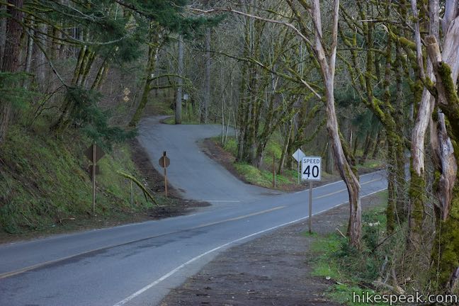 Angel’s Rest in Columbia River Gorge