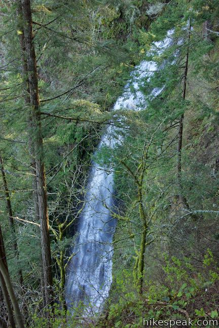 Angel's Rest Trail | Oregon | Hikespeak.com