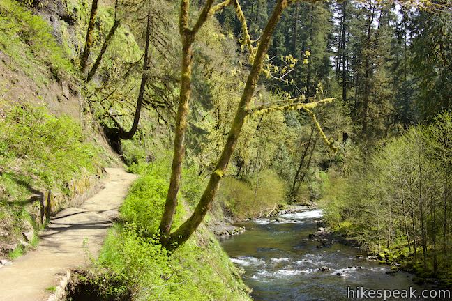 Eagle Creek Trail to Punchbowl Falls in Columbia River Gorge