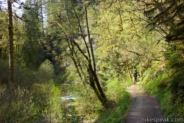 Eagle Creek Trail to Punchbowl Falls in Columbia River Gorge