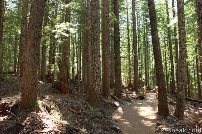 Mirror Lake Trail in Mount Hood National Forest