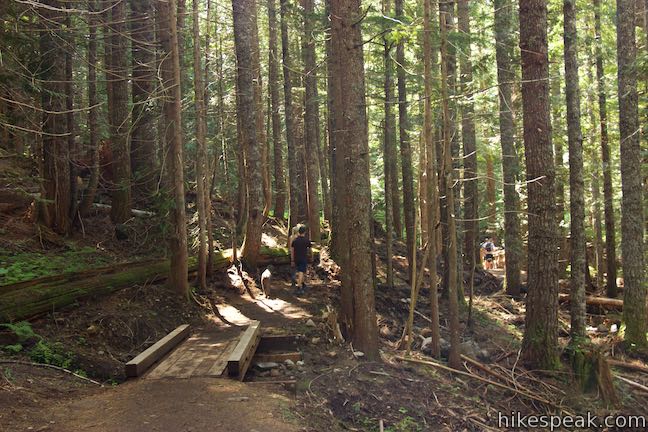 Mirror Lake Trail in Mount Hood National Forest