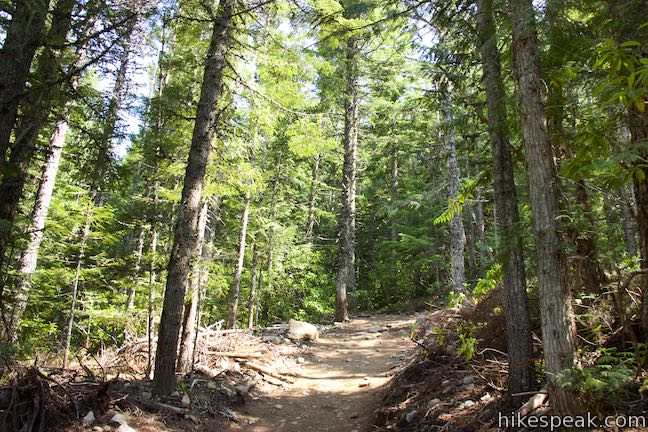 Mirror Lake Trail in Mount Hood National Forest