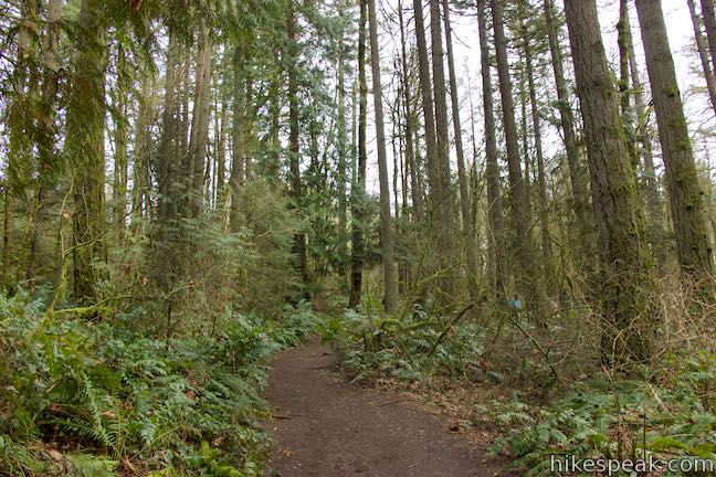 Tryon Creek State Natural Area | Hikespeak.com