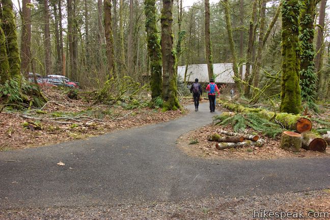 Tryon Creek State Natural Area | Hikespeak.com