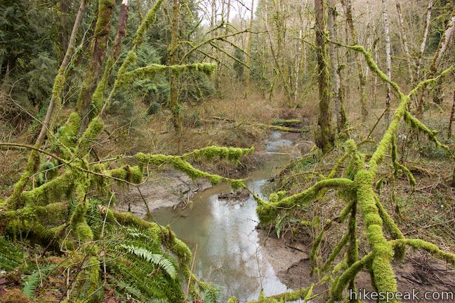 Tryon Creek State Natural Area | Hikespeak.com