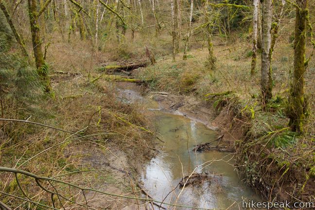 Tryon Creek State Natural Area | Hikespeak.com