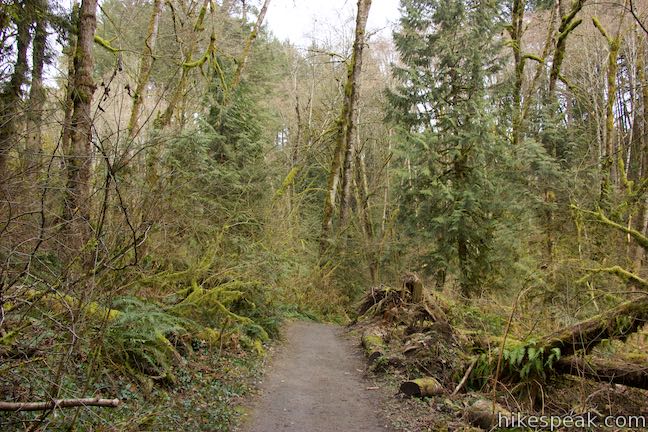 Tryon Creek State Natural Area | Hikespeak.com