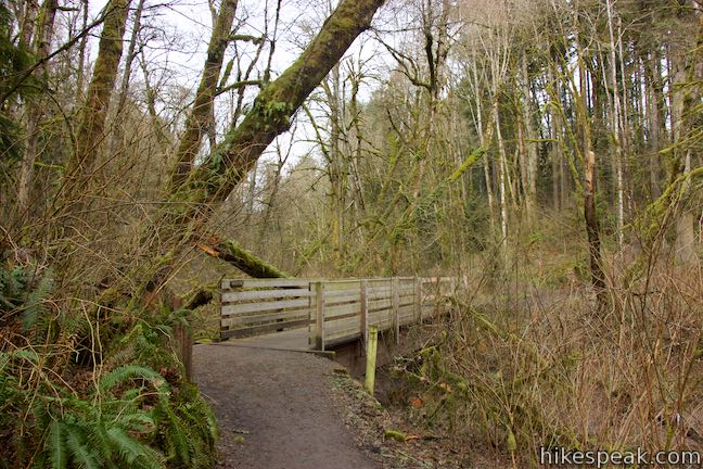 Tryon Creek State Natural Area | Hikespeak.com