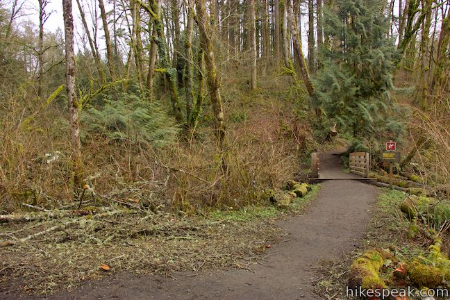 Tryon Creek State Natural Area | Hikespeak.com