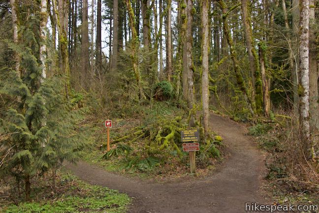 Tryon Creek State Natural Area | Hikespeak.com