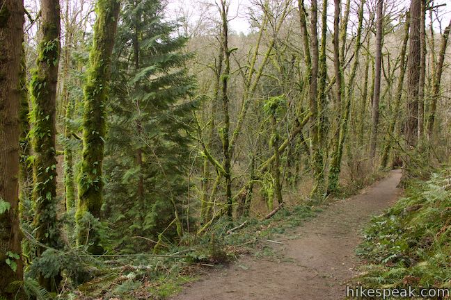 Tryon Creek State Natural Area | Hikespeak.com