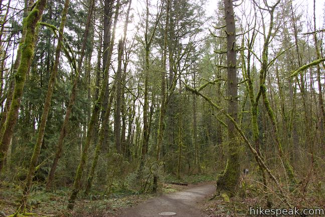 Tryon Creek State Natural Area | Hikespeak.com