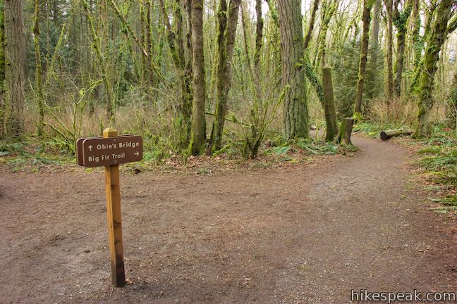 Tryon Creek State Natural Area | Hikespeak.com