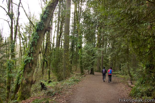 Tryon Creek State Natural Area | Hikespeak.com