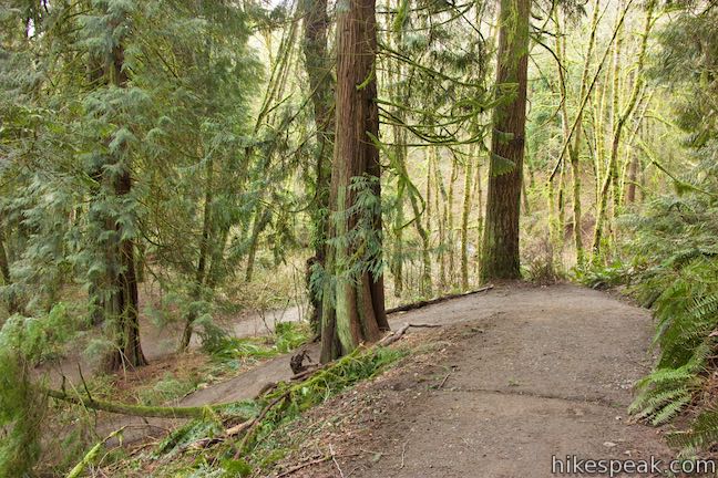 Tryon Creek State Natural Area | Hikespeak.com