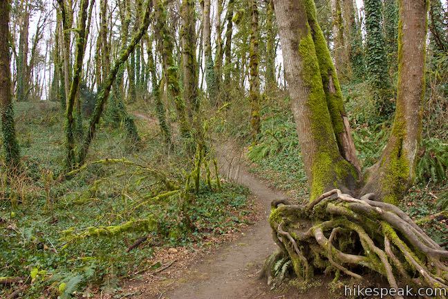 Tryon Creek State Natural Area | Hikespeak.com