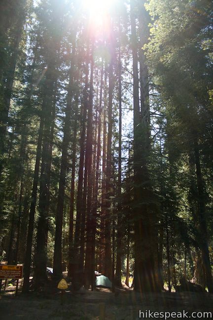 Atwell Mill Campground and Cold Springs Campground in Sequoia National Park