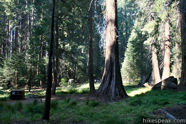 Atwell Mill Campground and Cold Springs Campground in Sequoia National Park
