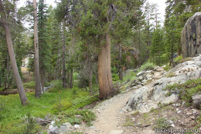 Ediza Lake | Ansel Adams Wilderness | Hikespeak.com