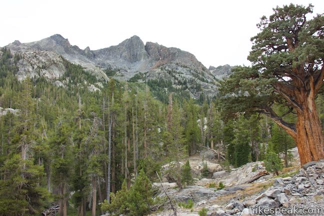 Ediza Lake | Ansel Adams Wilderness | Hikespeak.com