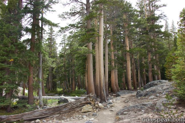 Ediza Lake | Ansel Adams Wilderness | Hikespeak.com