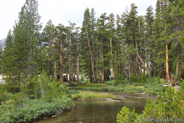 Ediza Lake | Ansel Adams Wilderness | Hikespeak.com