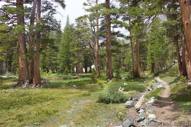 Ediza Lake | Ansel Adams Wilderness | Hikespeak.com