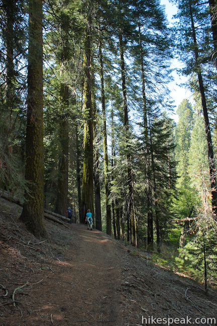 Dead Giant Loop Trail | Kings Canyon | Hikespeak.com