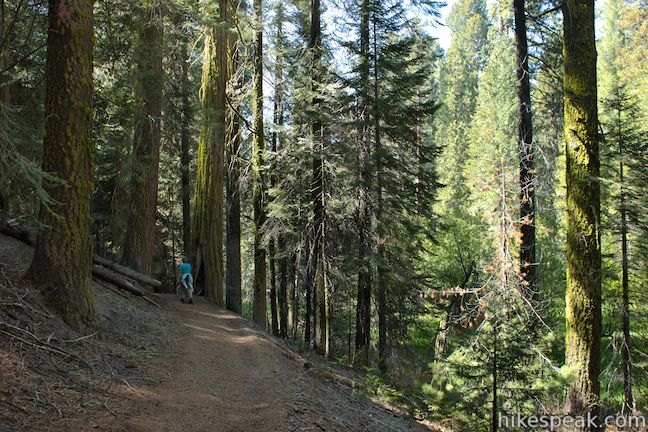 North Grove Trail | Kings Canyon | Hikespeak.com