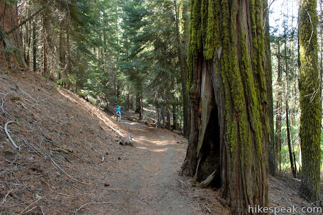 Dead Giant Loop Trail | Kings Canyon | Hikespeak.com