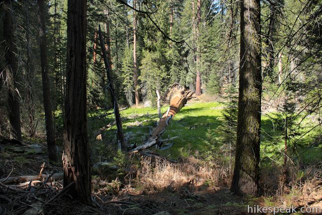 Dead Giant Loop Trail | Kings Canyon | Hikespeak.com