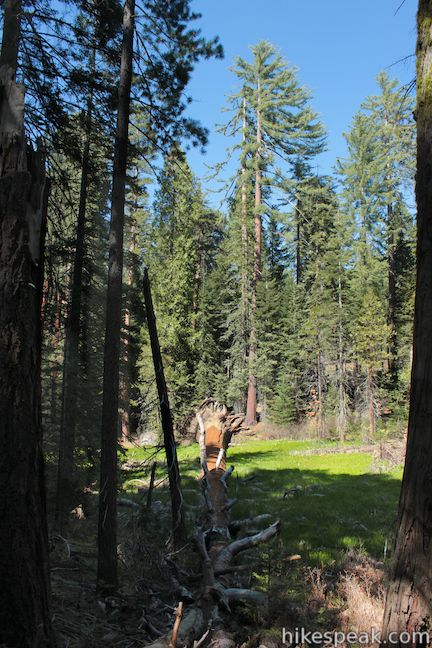 North Grove Trail | Kings Canyon | Hikespeak.com