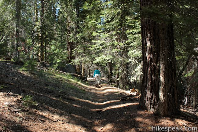 Dead Giant Loop Trail | Kings Canyon | Hikespeak.com