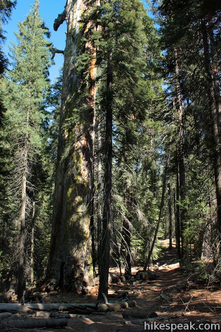 North Grove Trail | Kings Canyon | Hikespeak.com