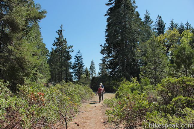 North Grove Trail | Kings Canyon | Hikespeak.com