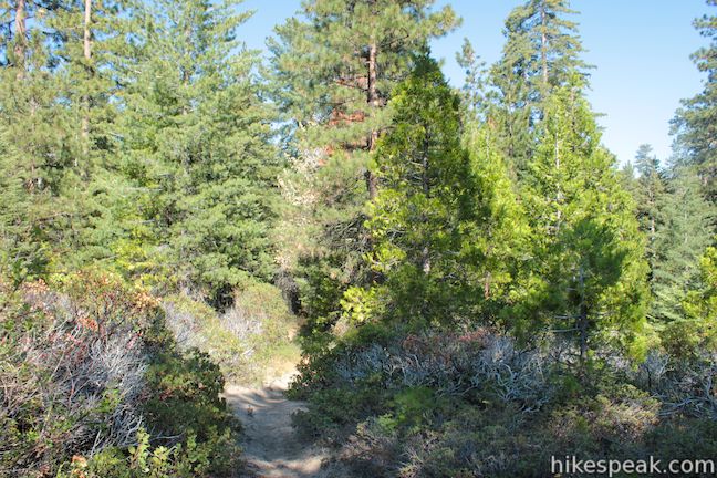 North Grove Trail | Kings Canyon | Hikespeak.com